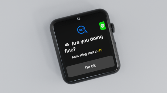 Duress Falcon - Discreet safety device with duress alarm